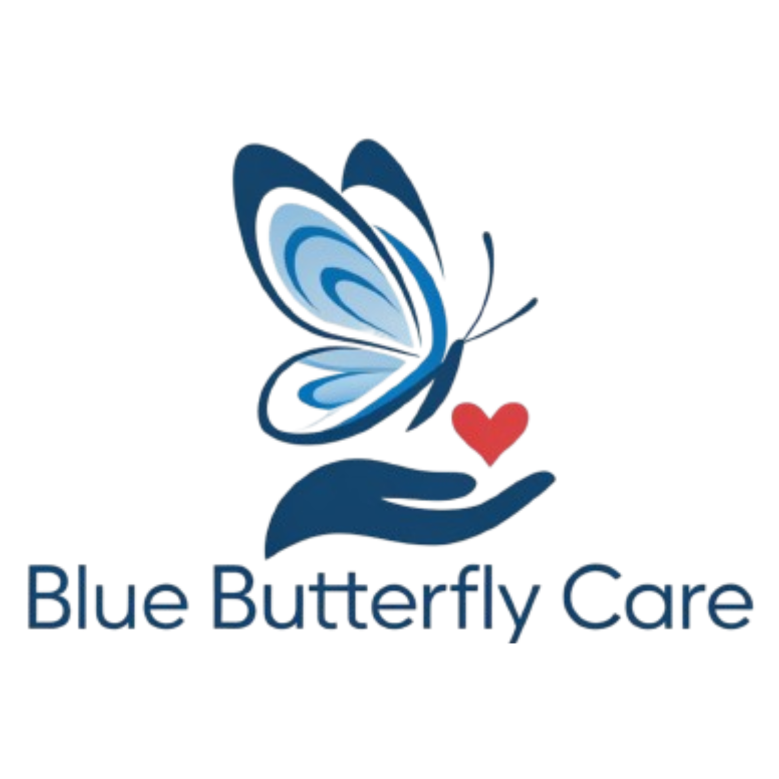 Blue Butterfly Care: Disability Services and SIL provider